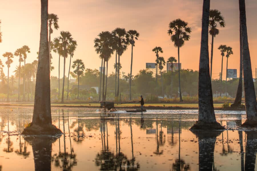 Basic Photography พื้นฐานการถ่ายภาพ | Snappix