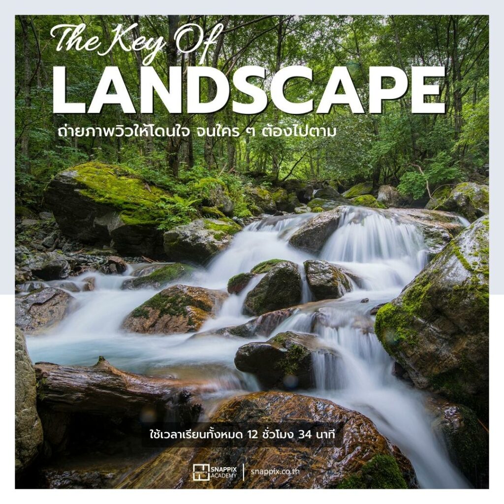 Food Shot for Beginner คอร์สเรียนถ่ายภาพอาหาร | Snappix