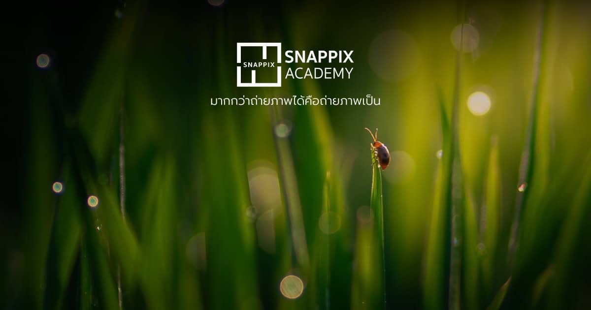 บทความ ความรู้เทคนิคการถ่ายภาพ | Snappix