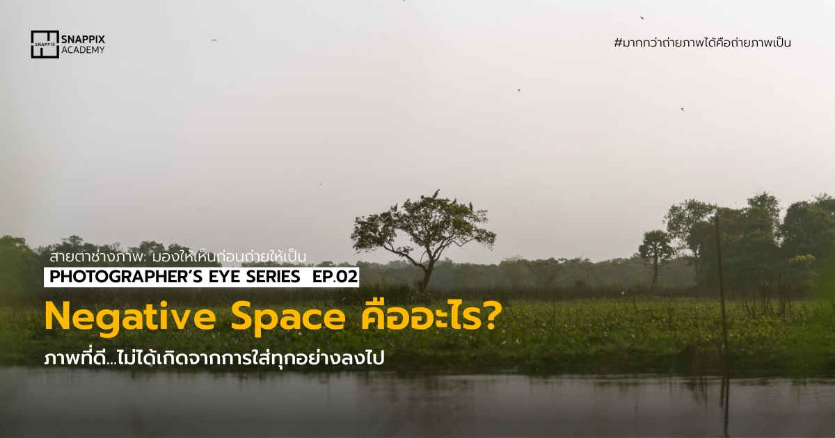 Negative Space: พื้นที่ว่างที่ทำให้ภาพ “หายใจได้” | Snappix